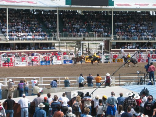 Calgary Photo Gallery - 005b - Calgary Stampede Rodeo